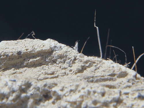 Products With Asbestos Exposure | ELG Law