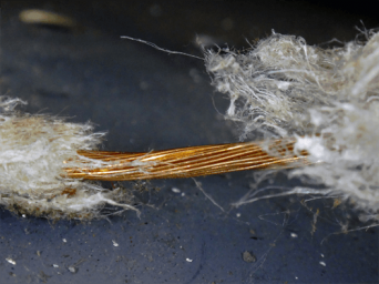 Engineers & Asbestos Exposure | ELG Law