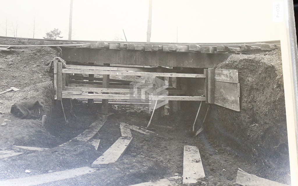 Carpenters | ELG Law