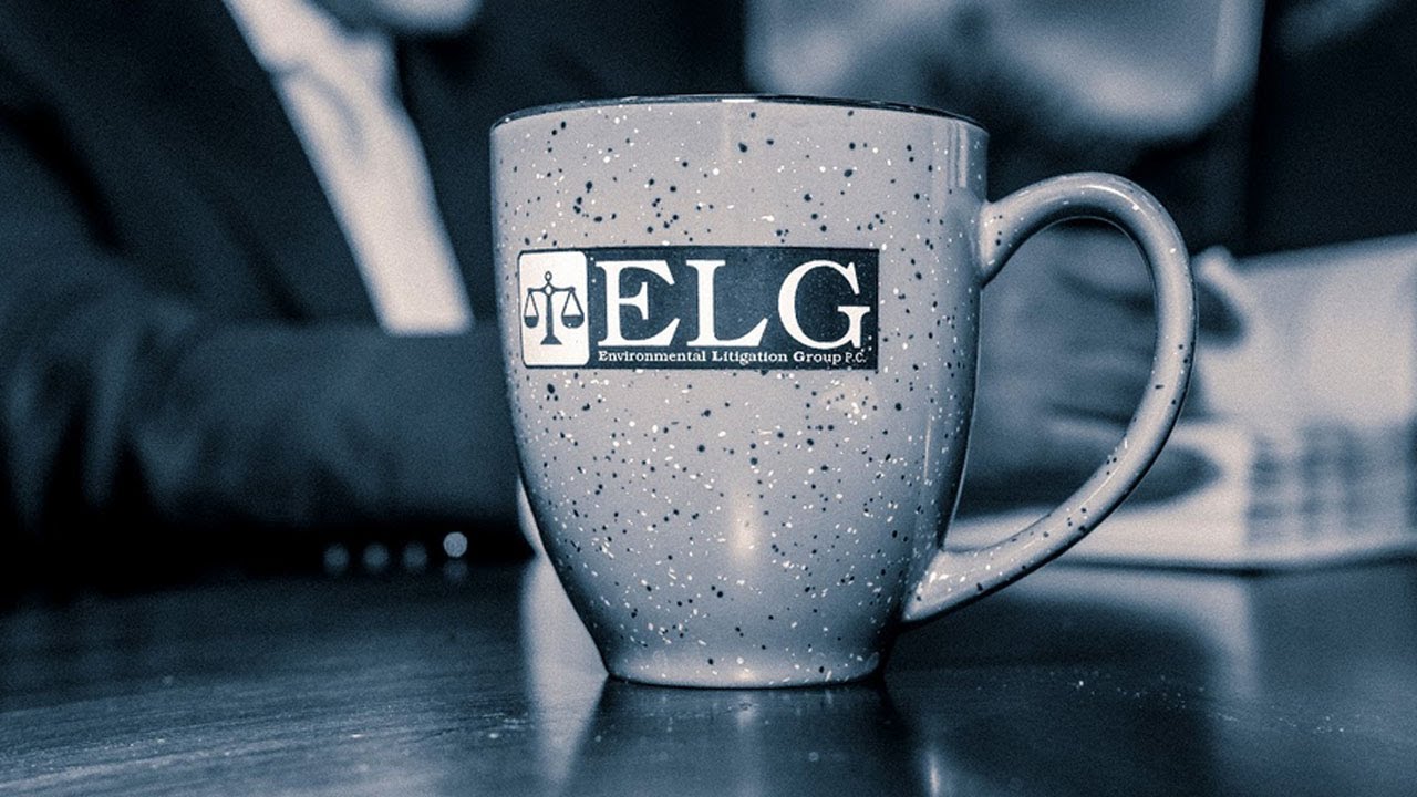 Why Choose ELG Federal? | ELG Law