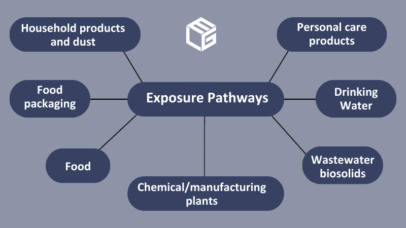 PFAS Exposure Pathways | ELG Law PFAS Exposure Pathways | ELG Law